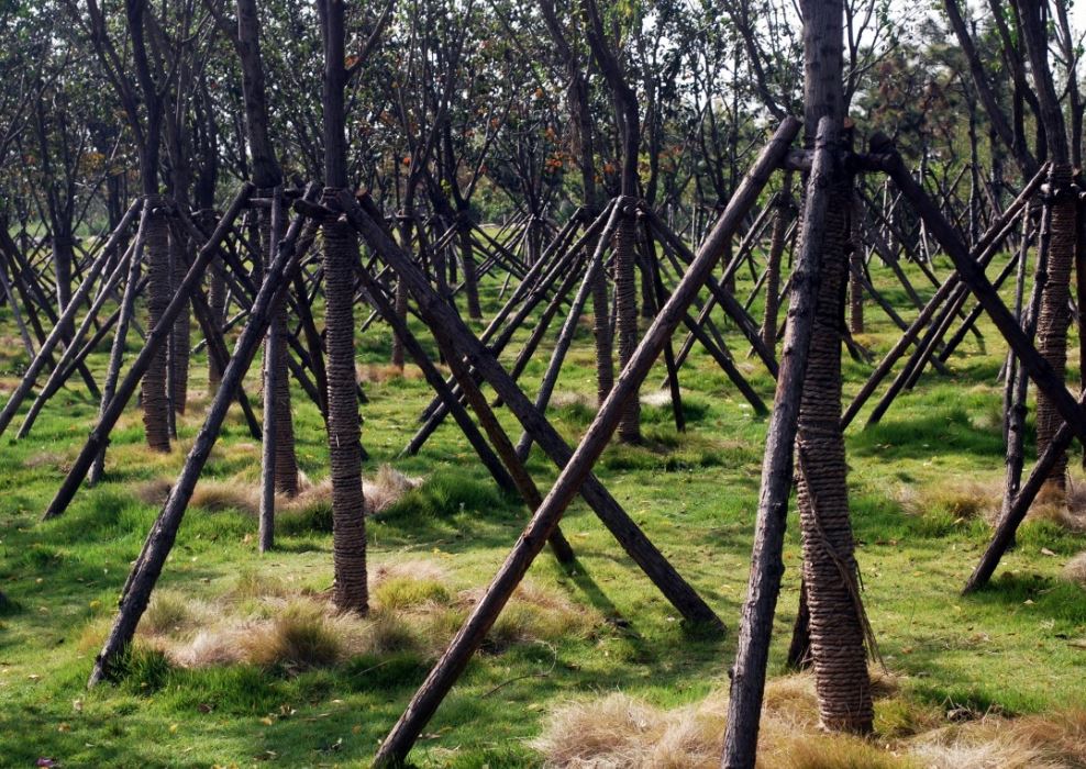 Menanam Seribu Pohon Langkah Menuju Kehidupan yang Lebih Berkelanjutan ...